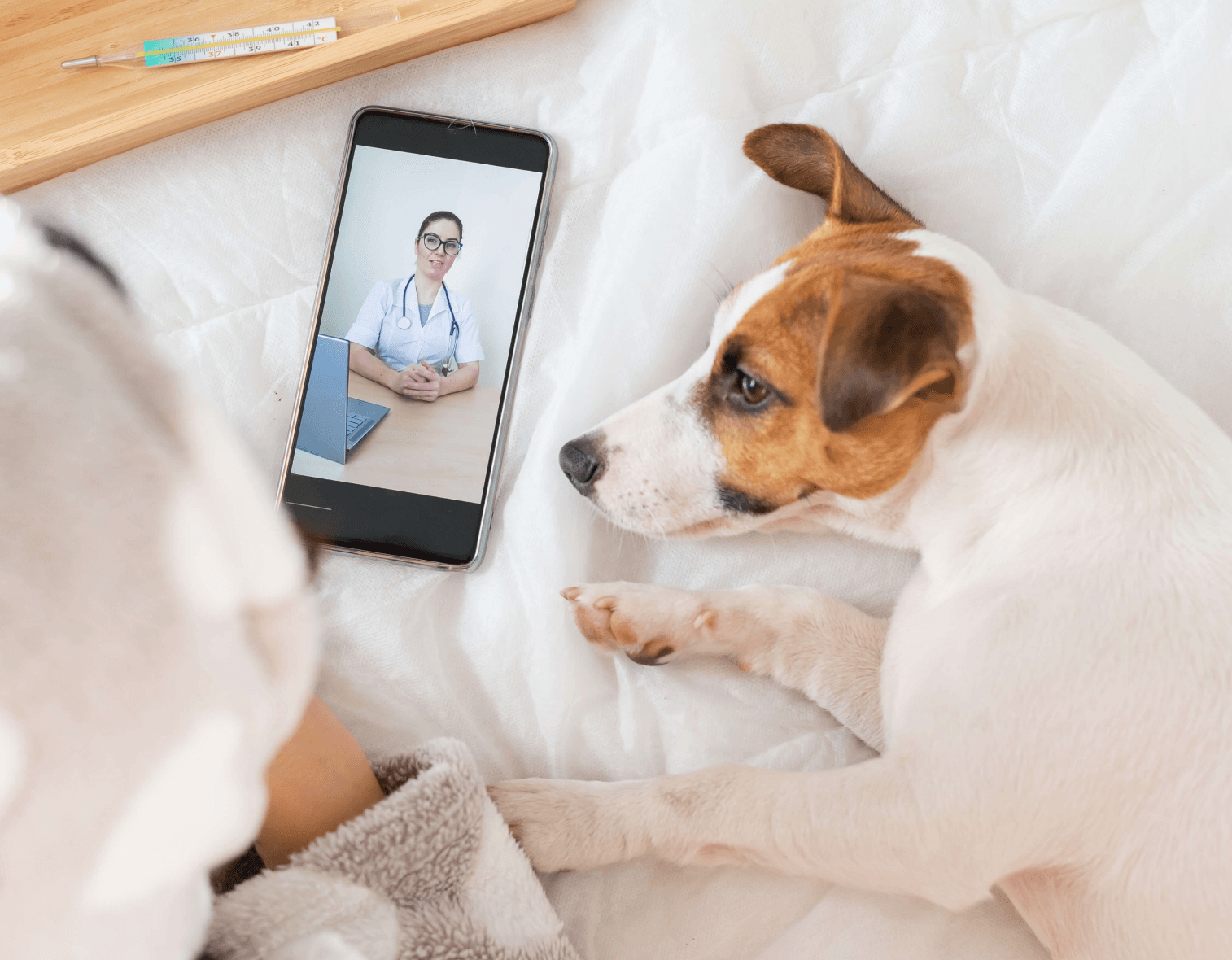 FAQ | Virtual VetDoc™ - Stress-Free Pet Care From Home
